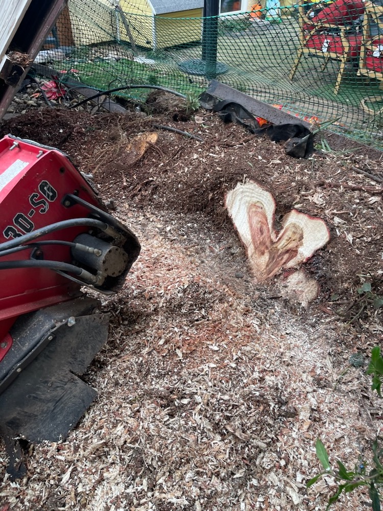 Tree Removal Services